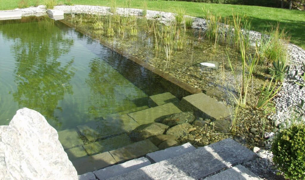 Piscinas naturales o ecológicas, biopiscinas y tecnología